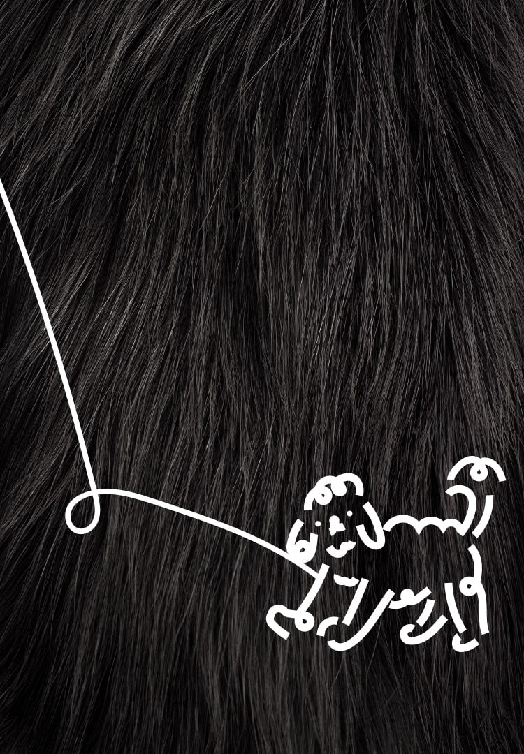 Vetreska Fur: Pet Grooming and Day Care for Your Loved Ones. – Fur-Vetreska