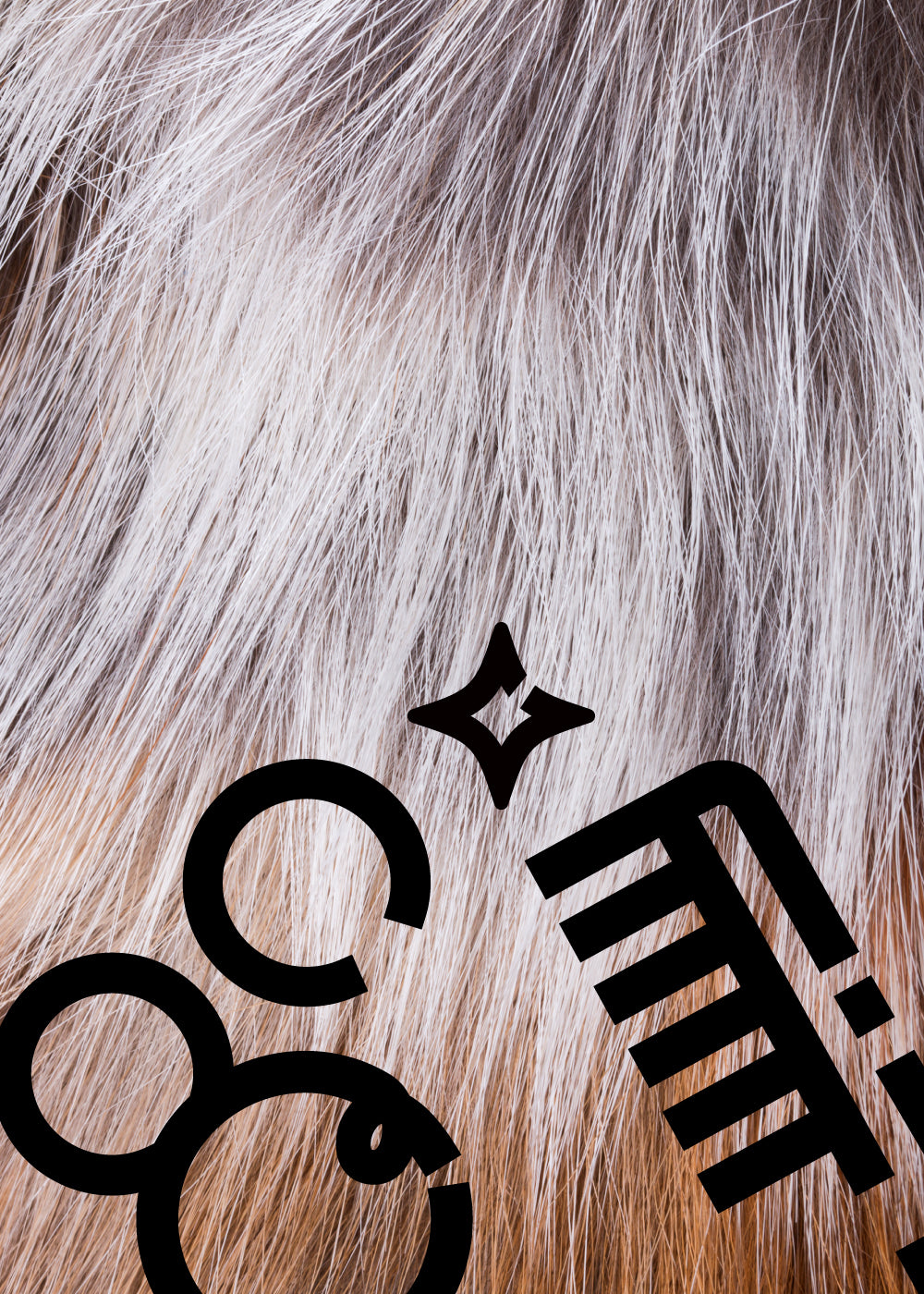 DOG GROOMING – Fur-Vetreska