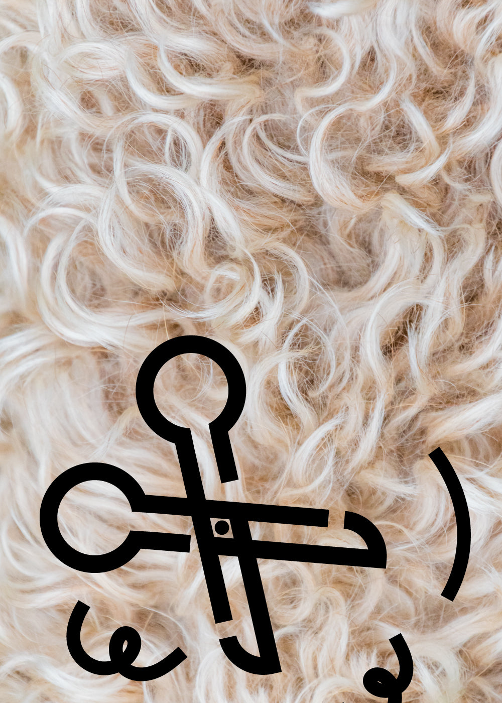 DOG GROOMING – Fur-Vetreska