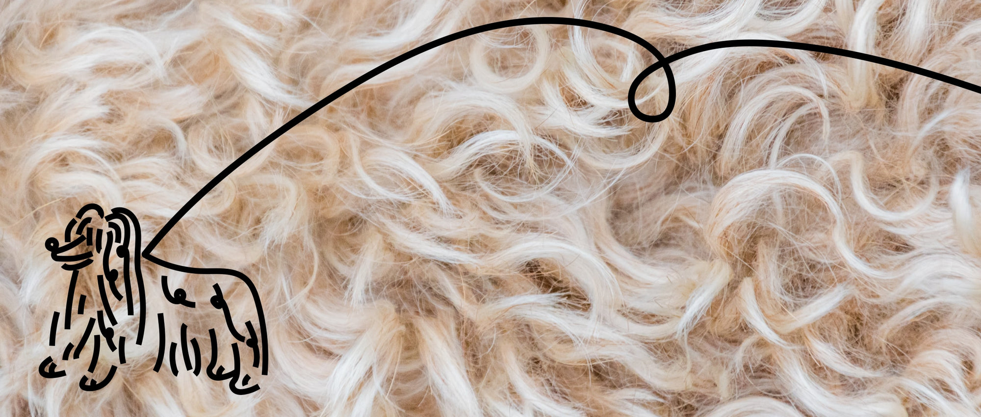 Vetreska Fur: Pet Grooming and Day Care for Your Loved Ones. – Fur-Vetreska