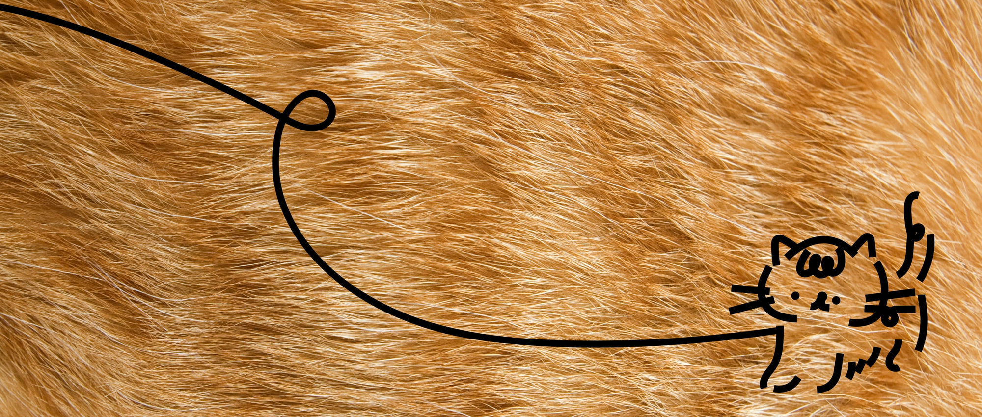 Vetreska Fur: Pet Grooming and Day Care for Your Loved Ones. – Fur-Vetreska