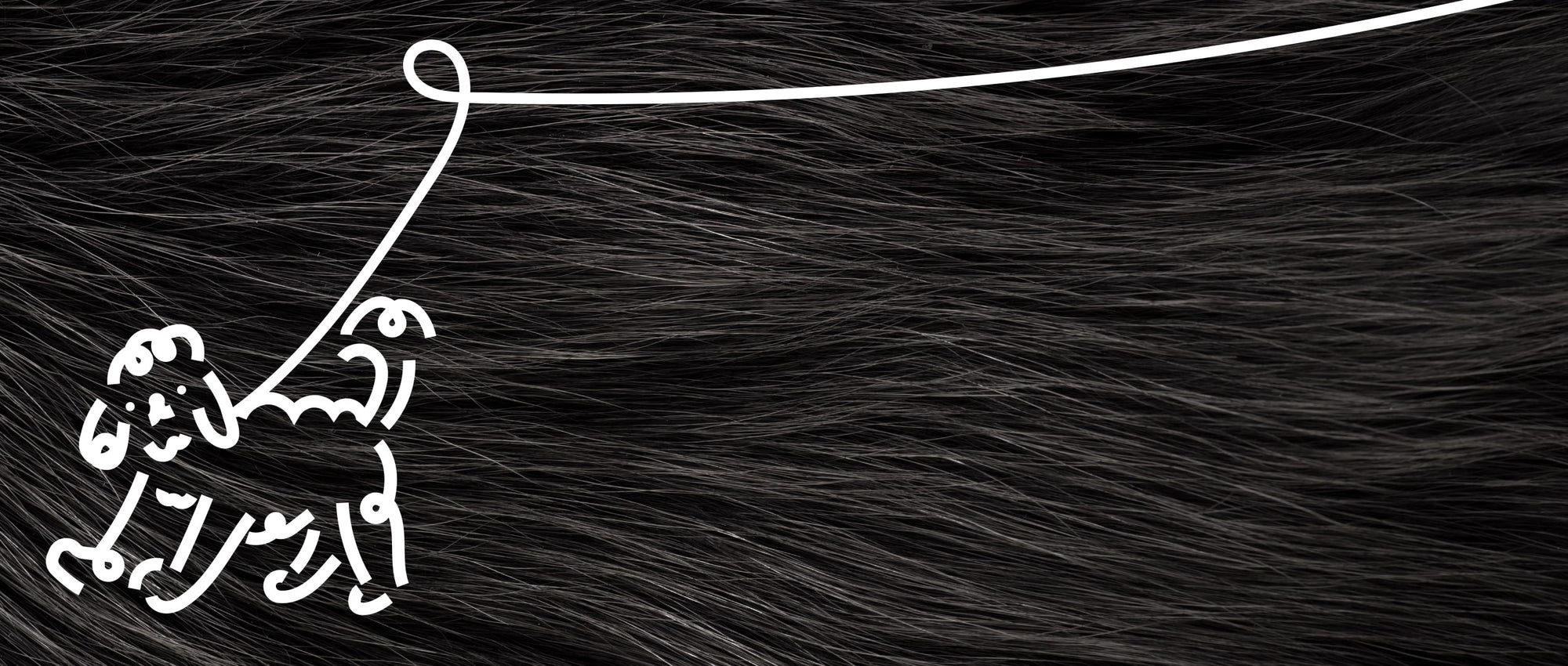 Vetreska Fur: Pet Grooming and Day Care for Your Loved Ones. – Fur-Vetreska