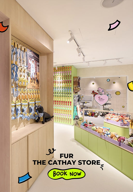 Vetreska Fur: Pet Grooming and Day Care for Your Loved Ones. – Fur-Vetreska